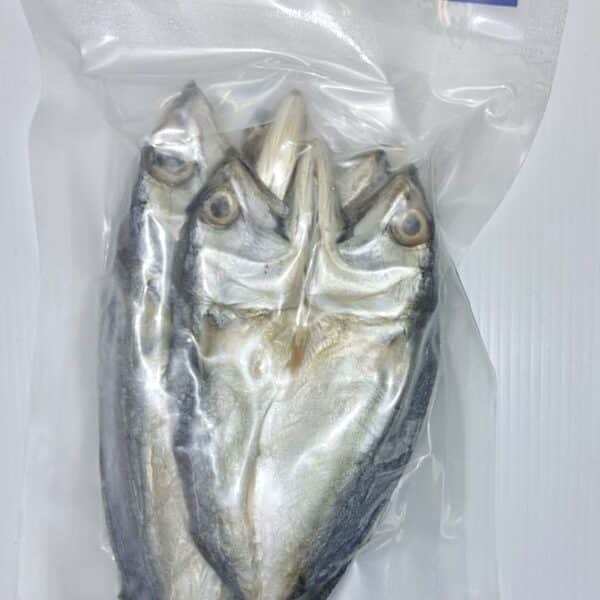 New Arrivals | Corinthian Distributors