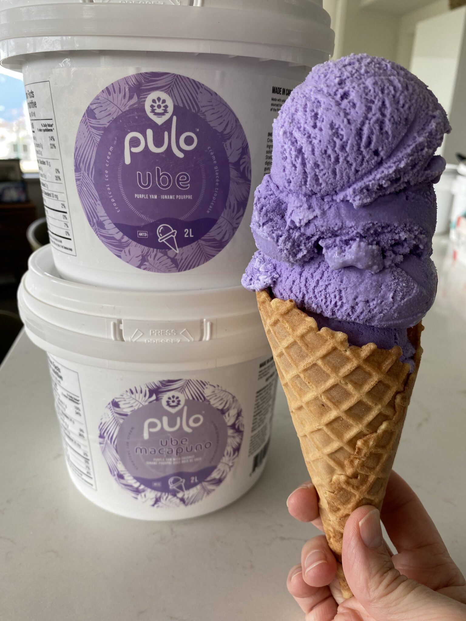 Creamy, Delicious Ube Ice Cream from Pulo Cuisine! | Corinthian ...